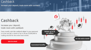 FIBO Group Review (2025) FIBO Group Key Features ☑️